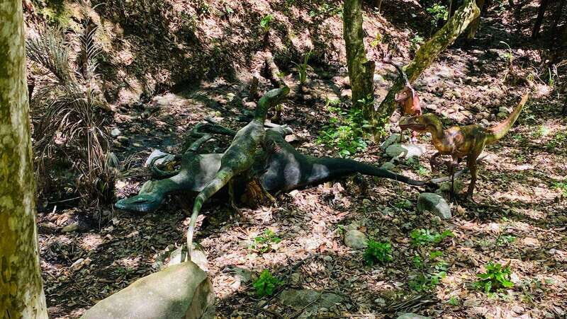 Tour "Bioparque" + Traslados + Tickets incluidos - Price and Value