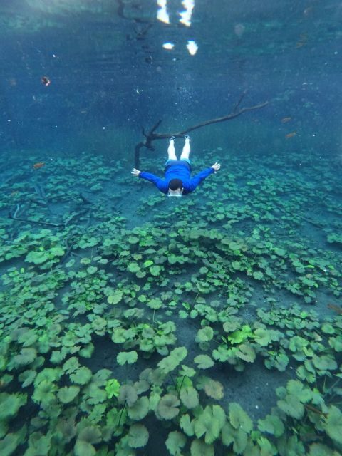 Tour Blue Crater private day tour - Authentic Experiences and Honest Impressions