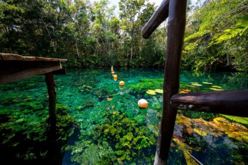 Tour Coba Ruins & Refreshing Cenote Xux Ha Swim With Lunch - Why This Tour Offers Great Value