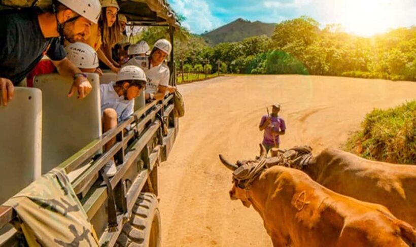 Tour Cultural For Small Group Visit Basilica Higuey - Key Points