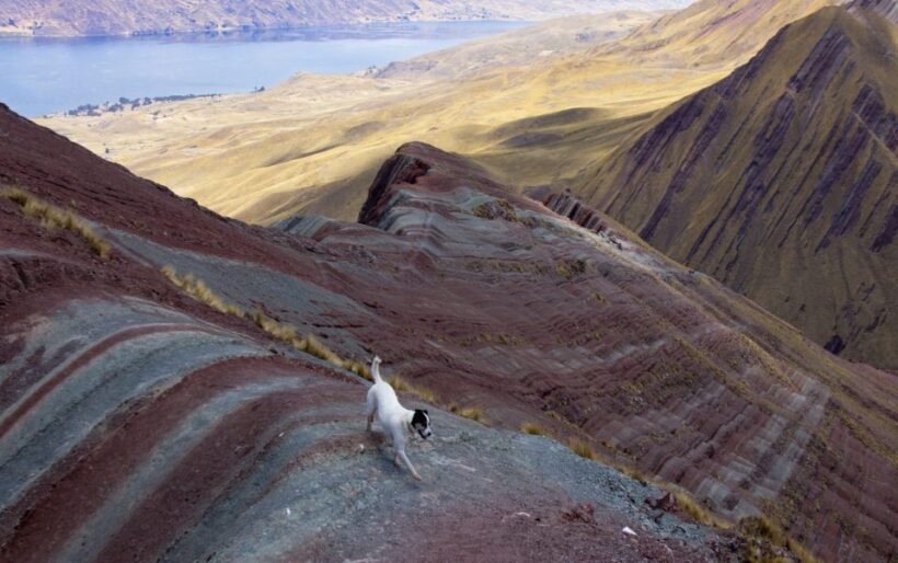 Tour Cusco : Pallay Poncho del Apu T'acllo - Key Points