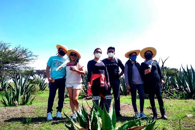 Tour de Pulque en Tepotzotlán, Pueblo Mágico - The Sum Up
