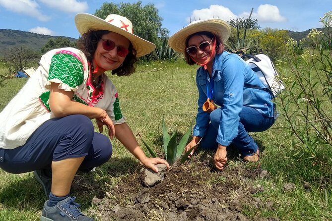 Tour de Pulque en Tepotzotlán, Pueblo Mágico - FAQ