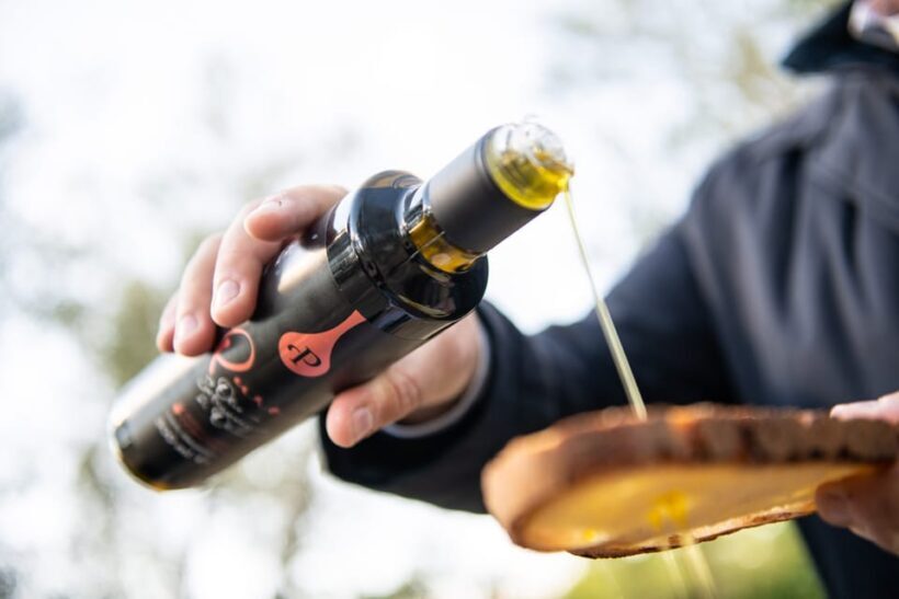 Tour del Frantoio Perniola con Degustazione di Olio EVO - A Deep Dive into the Experience