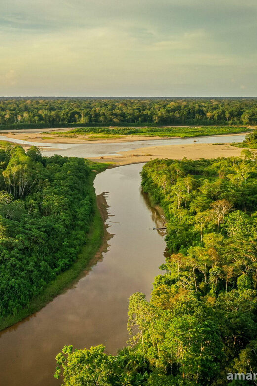 Tour en Kayak +Isla de los Monos full day - Key Points