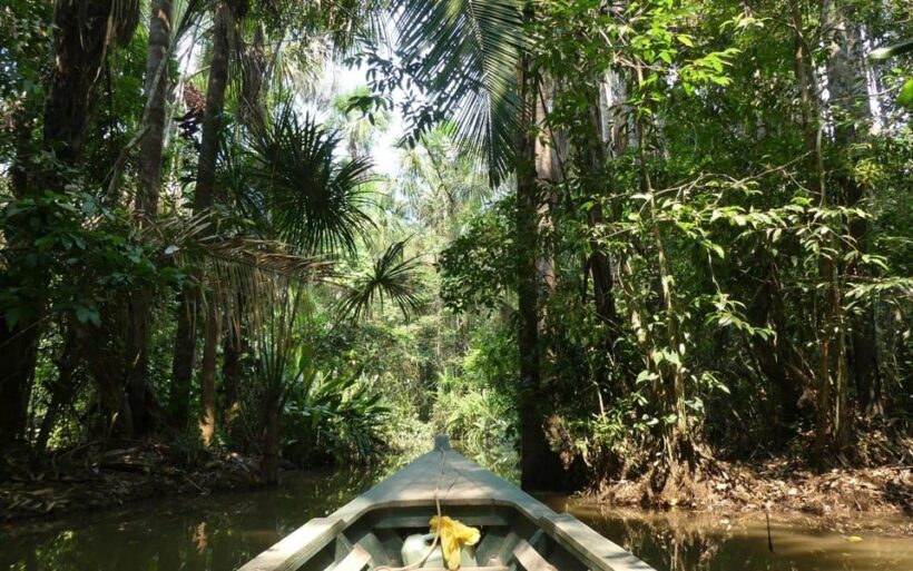 Tour en Kayak +Isla de los Monos full day - FAQ