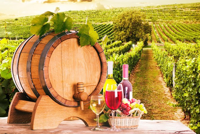 Tour Etna & Wine Tasting Private - Final Thoughts