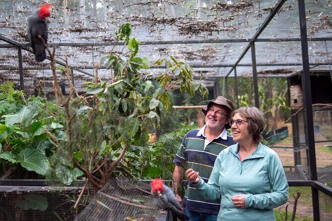 Tour from Eden to Merimbula Wetlands Wildlife and Coastline - Key Points