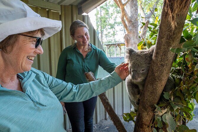 Tour from Eden to Merimbula Wetlands Wildlife and Coastline - Who Will Love This Tour?