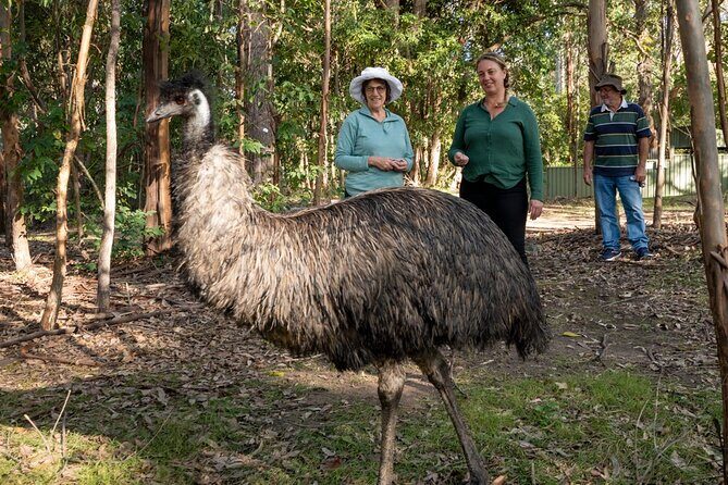 Tour from Eden to Merimbula Wetlands Wildlife and Coastline - FAQ