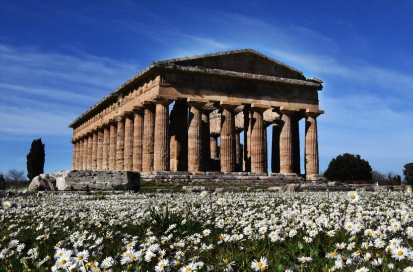 Tour from Naples to Paestum: Discover the Temples of Magna Graecia - Who Should Consider This Tour?