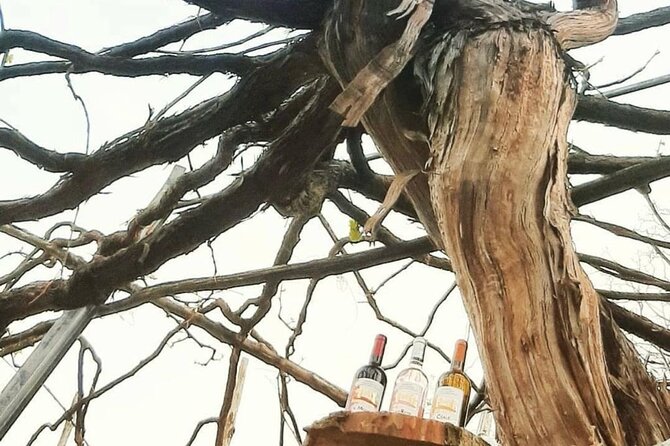 Tour from Napoli to pompei/ercolano: Luxury Tour, Secret Vineyard - Introduction: A Luxurious Day of History, Wine, and Hidden Gems