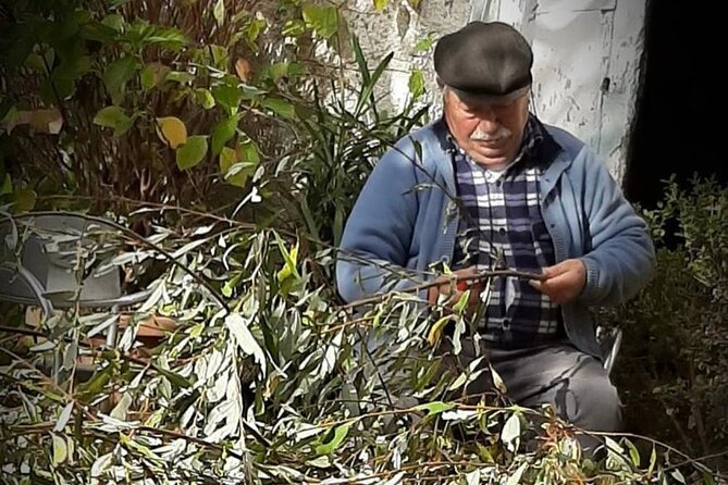 Tour from Napoli to pompei/ercolano: Luxury Tour, Secret Vineyard - Who Should Consider This Tour?