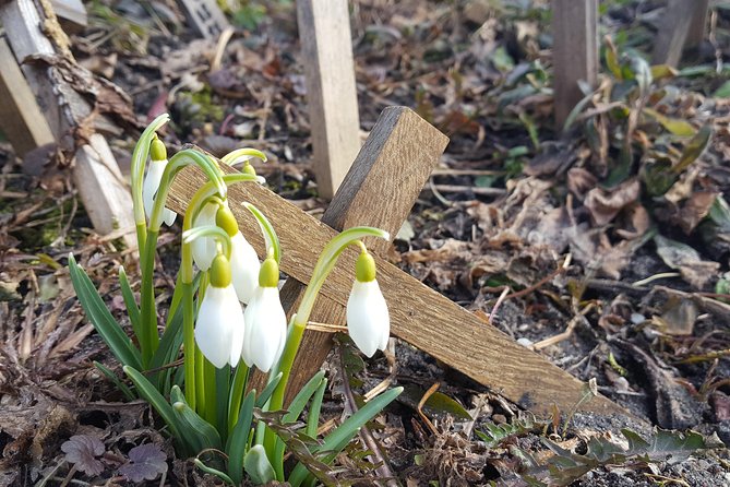 Tour From Riga - Vilnius via Bauska, Rundale, the Hill of Crosses - Traveler Experiences and Feedback