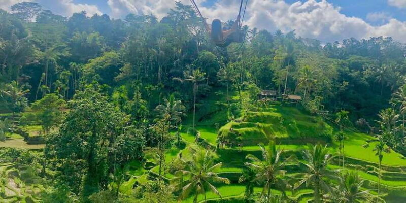 Tour full day ubud, water fall,coffe atv,and rice paddy - Introduction to the Tour Experience