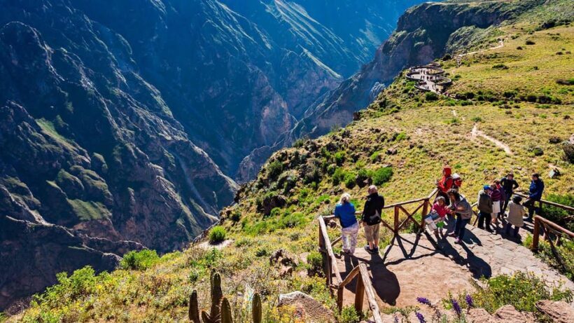 Tour Fullday Colca Canyon with Breakfast and Typical Lunch - Key Points