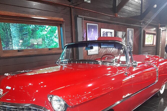 Tour Group Must-See - Key Points