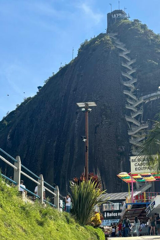 Tour Guatapé con visita a Granja de las Llamas y las Alpacas - Exploring the Llamas and Alpacas Farm