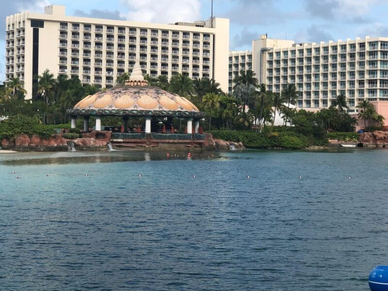 Tour Guide: Can Manage Transport by Myself - Tour Guide Expertise