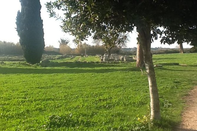 Tour Herculaneum and Pompeii ruins included pizza - Transportation and Logistics