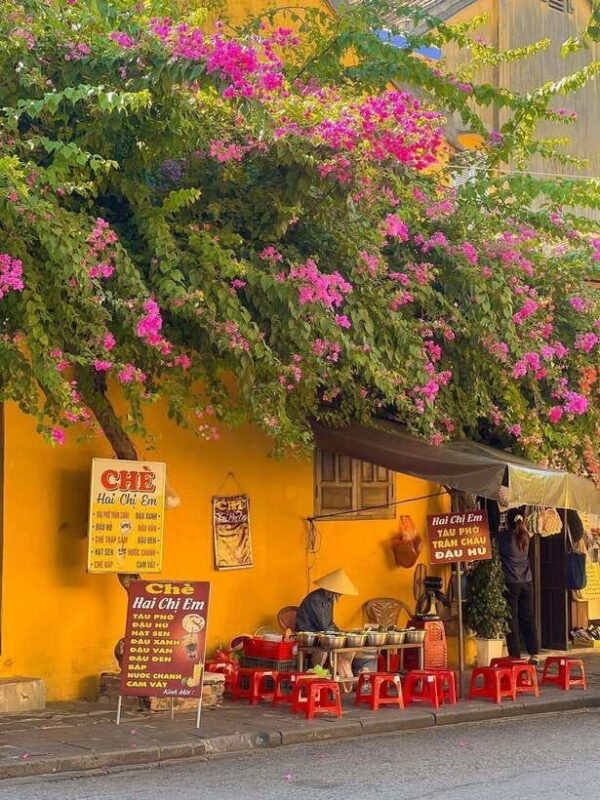 Tour Hoi An ancient town - Flower lanterns - Coconut forest - Who Should Consider This Tour?