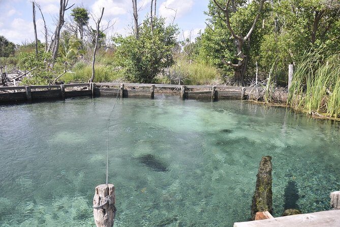 Tour Holbox - Two Island & Cenote from Cancun & Playa Del Carmen - Final Thoughts