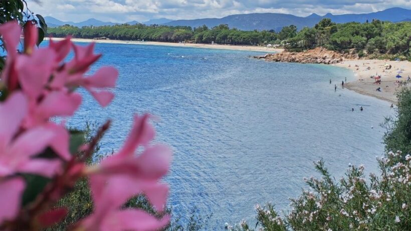 Tour in 4X4 nella Terra dei Centenari con Pranzo Tipico - Exploring Sardinia’s Blue Zone in Style: The Full Breakdown