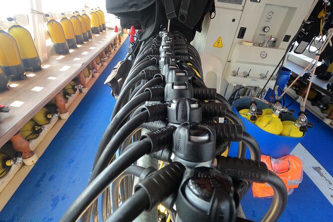 Tour in Alanya with Lunch and Guided Scuba Dives from Side - Key Points