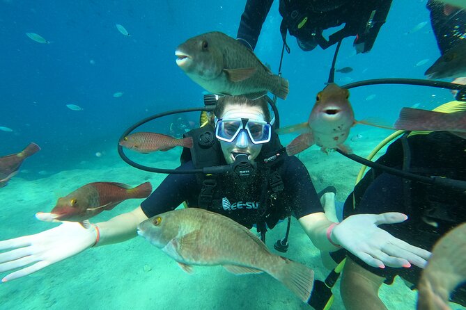Tour in Alanya with Lunch and Guided Scuba Dives from Side - The Dive Experience: What You’ll Really See