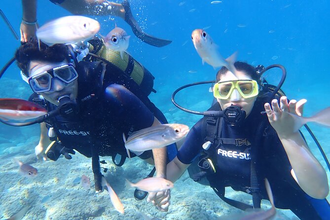 Tour in Alanya with Lunch and Guided Scuba Dives from Side - Who Will Love This Tour?