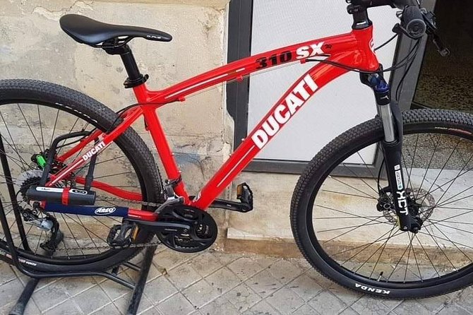 Tour in Bike History Island Ortigia and Archeological Park Neapolis - Tour Experience