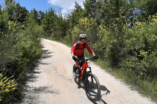 Tour in eBike Riserva Gola del Furlo and Tartufo - Who Should Consider This Tour?