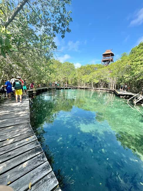 Tour in Italian in Holbox - Who Should Consider This Tour?