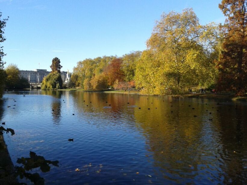 Tour in Italian: Londra in un Giorno - What You Can Expect from This Tour