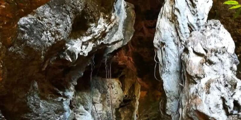 Tour in Labuan Bajo City One Full Day - Key Points