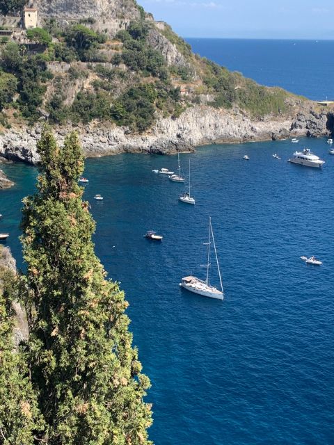 Tour in Minivan Mercedes to Sorrento & Pompeii - Key Points