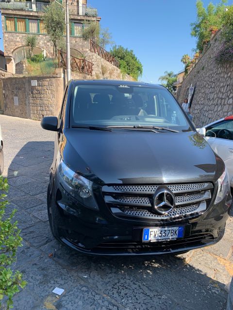 Tour in Minivan Mercedes to Sorrento & Pompeii - Driver Profile and Expertise