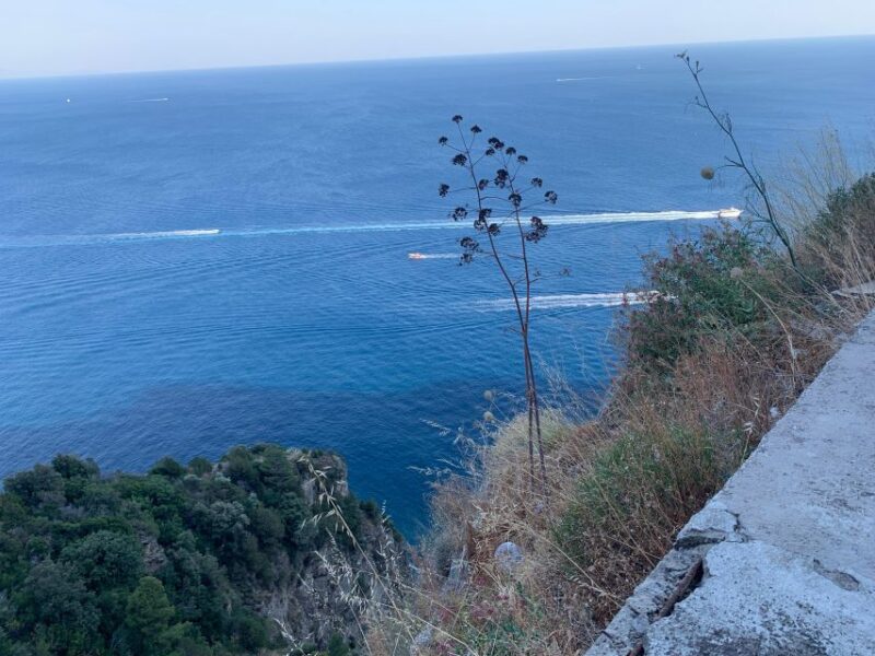 Tour in Minivan Mercedes to Sorrento & Pompeii - Cancellation Policy and Booking Details