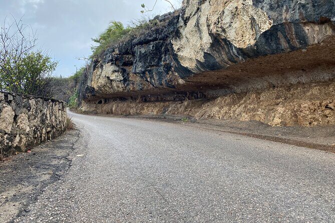 Tour in North and South Bonaire Guided - The Itinerary Breakdown: What to Expect