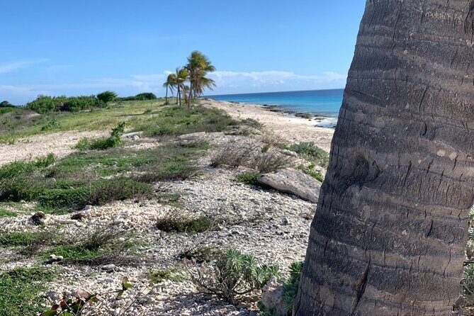 Tour in North and South Bonaire Guided - Final Thoughts