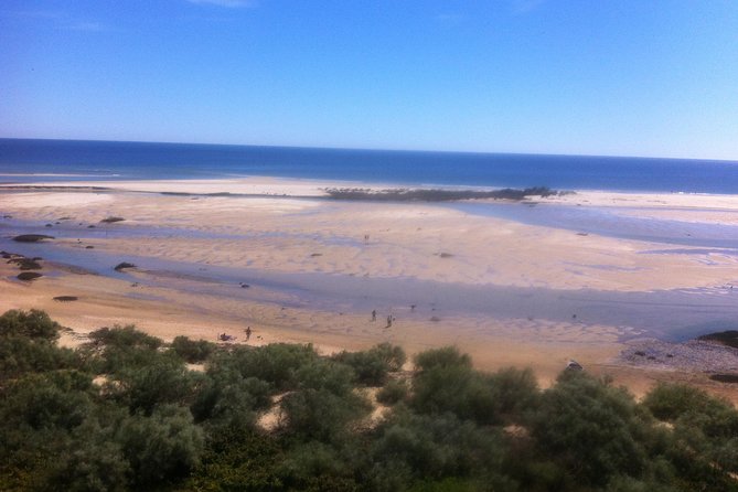 Tour in Paradise: Ria Formosa - Who Will Love This Tour?