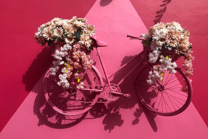 Tour in Puerto Plata with Visit to Paseo de Doña Blanca - Key Points