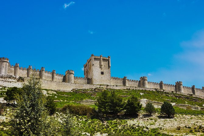 Tour in Ribera del Duero "like a native", with traditional Spanish tapas - Tasting and Gastronomy: Pairing Wine with Tapas