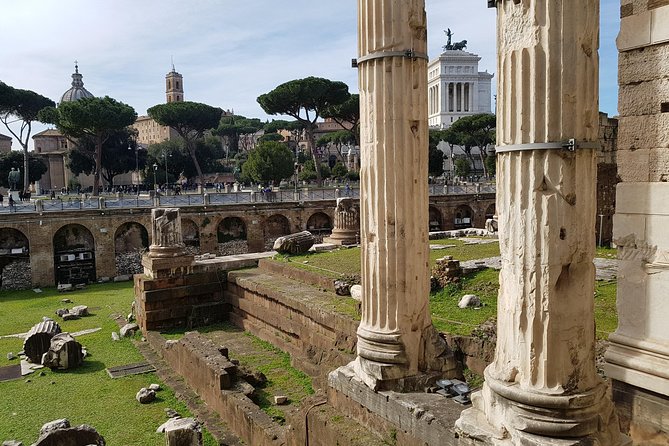 Tour in Rome, half day - What Travelers Are Saying