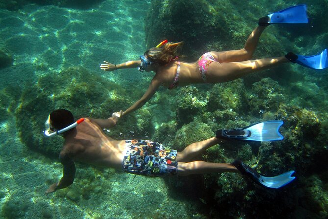 Tour in Rubber Dinghy and Snorkeling in the Protected Marine Area of Tavolara - Snorkeling Highlights and Marine Life
