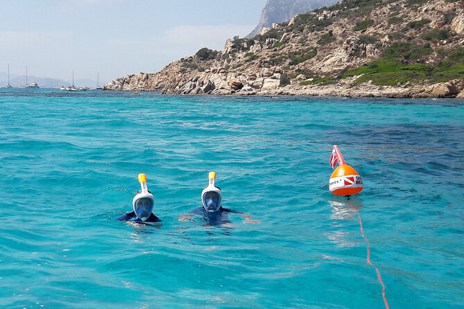 Tour in Rubber Dinghy and Snorkeling in the Protected Marine Area of Tavolara - Customer Feedback and Recommendations