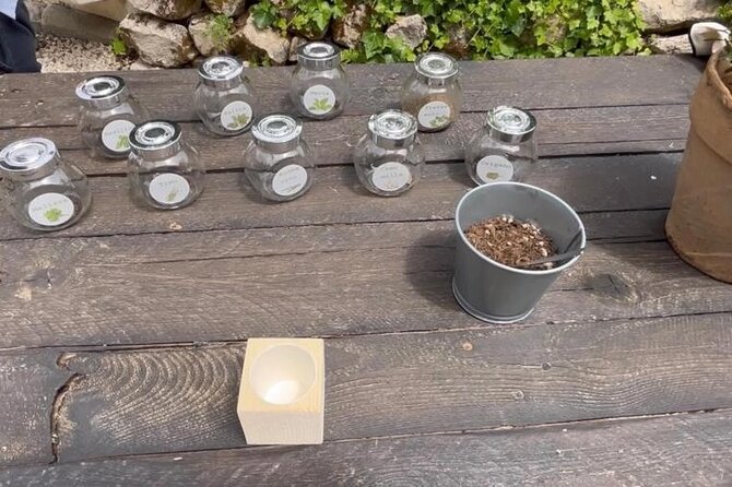 Tour in the heady scents of our garden in Ragusa - Key Points