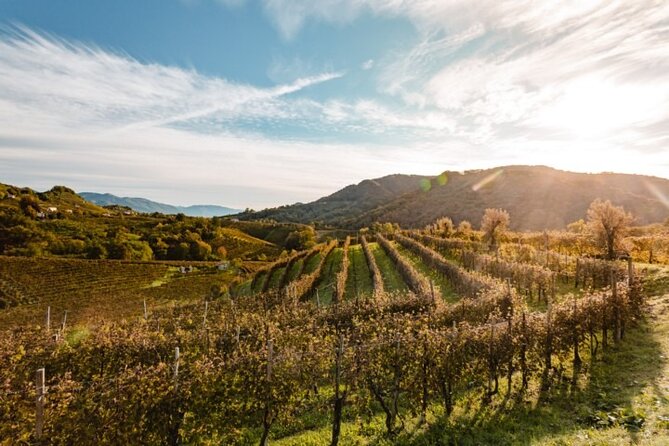 Tour in the Prosecco Hills Tour From Padua - Tour Overview
