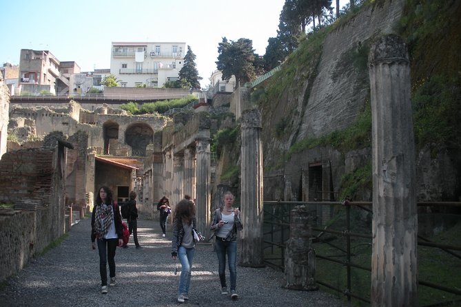 Tour in the Ruins of Herculaneum With an Archaeologist - Purchasing Entrance Tickets and Meeting the Guide
