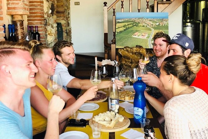 Tour in the Winery and Tasting - Wine Tasting Experience